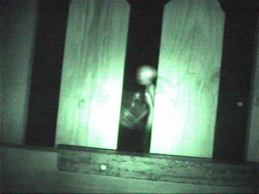 UFO Ground: Real Alien Photos