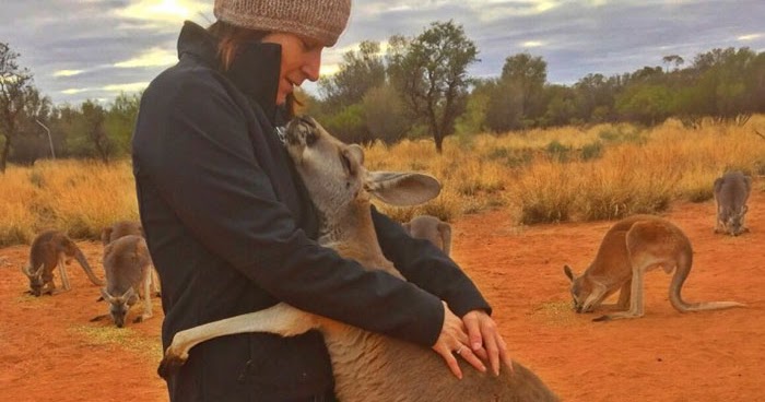 Slavenka & Obi: Meet Abigail the hugging kangaroo