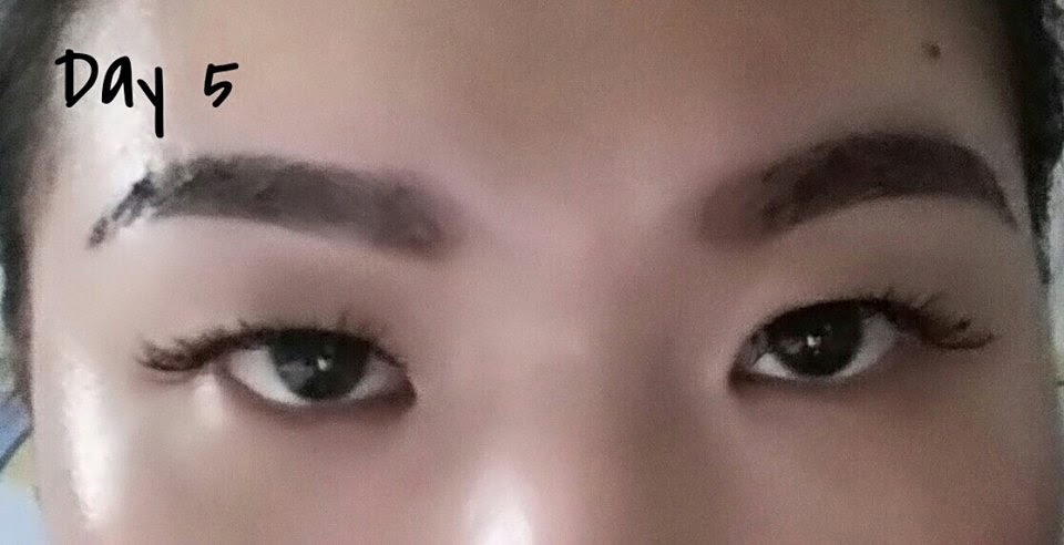 thegirlsinsaneeats: Eyebrow Embroidery Healing Process