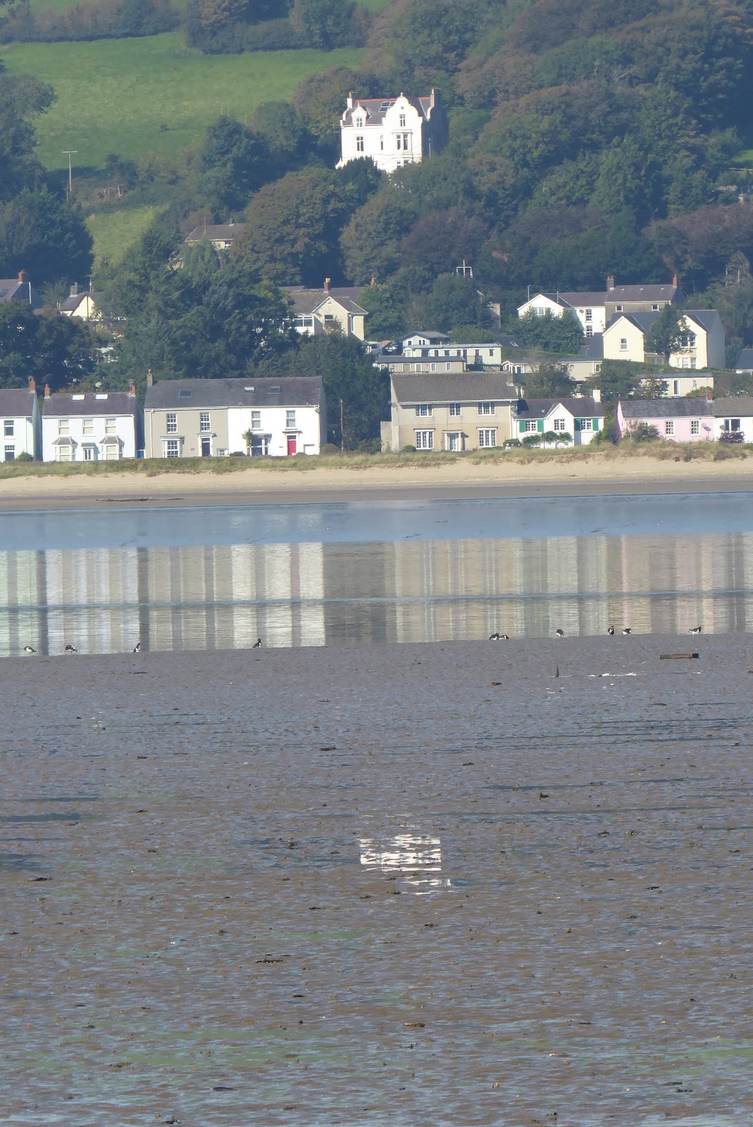 Codlinsandcream2: St Ishmael's and a stroll on the Ferryside beach