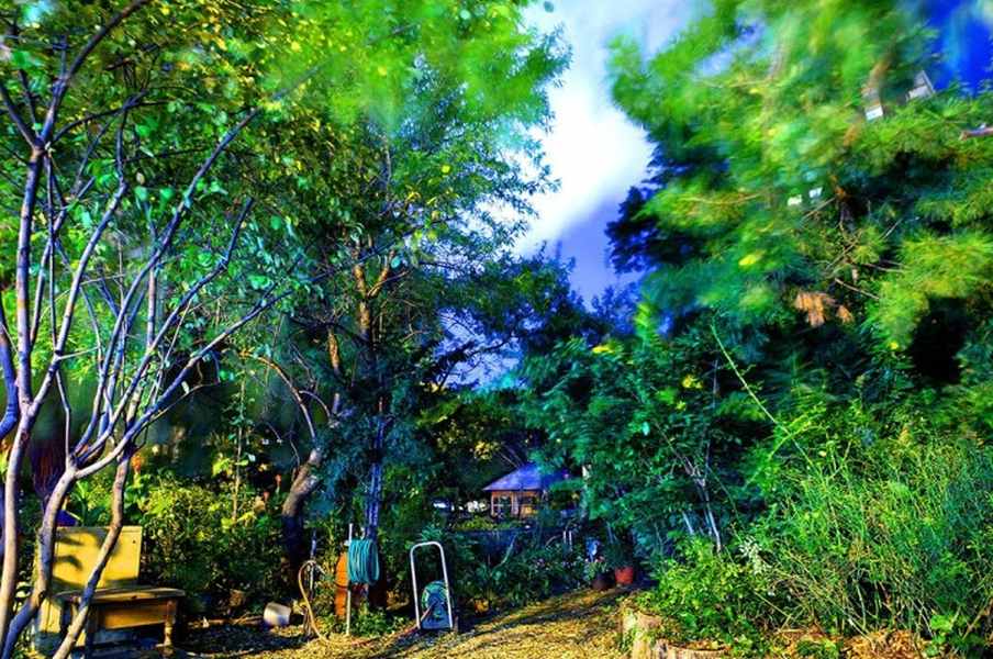 Los Grandes Fotografos: George Hirose (1957)