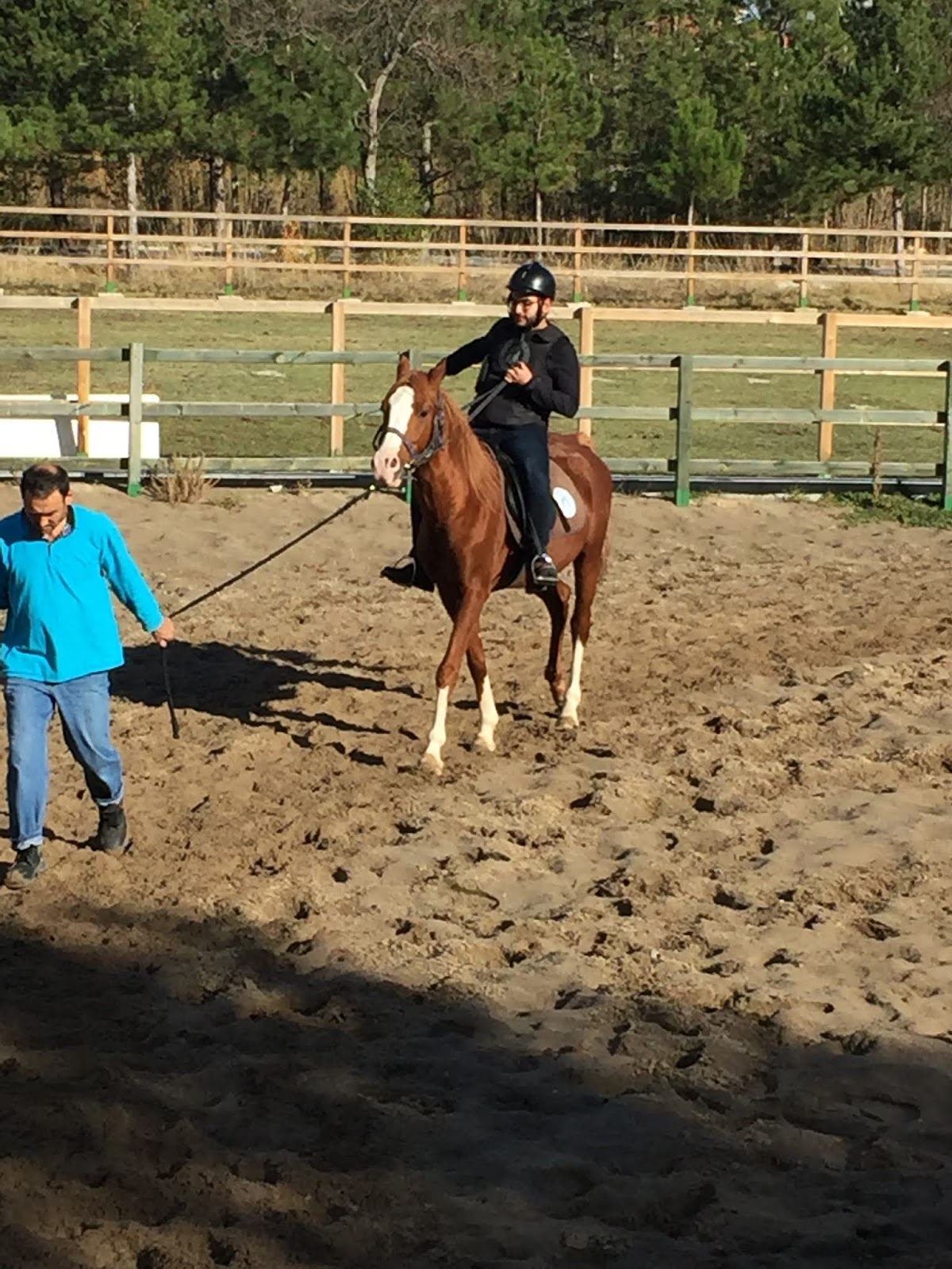 HİPPOTERAPİ NEDİR?