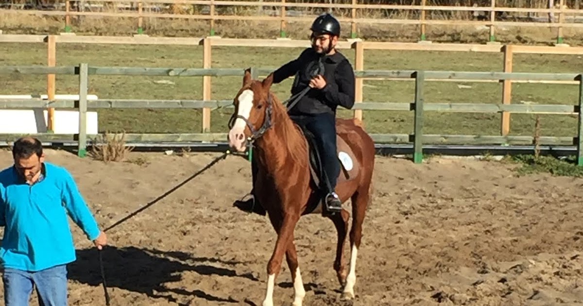 HİPPOTERAPİ NEDİR?