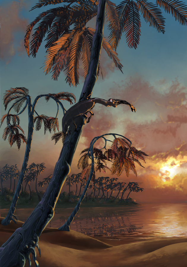 Furahan Biology and Allied Matters: Postcard from Furaha