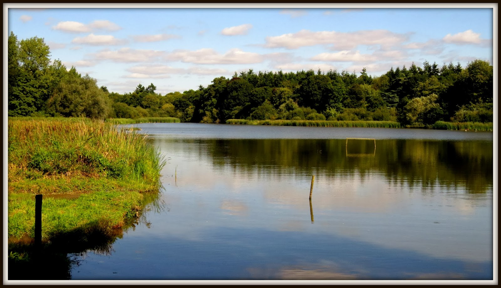 Grandma P's Ramblings Through Life: Warnham Nature Reserve and Village