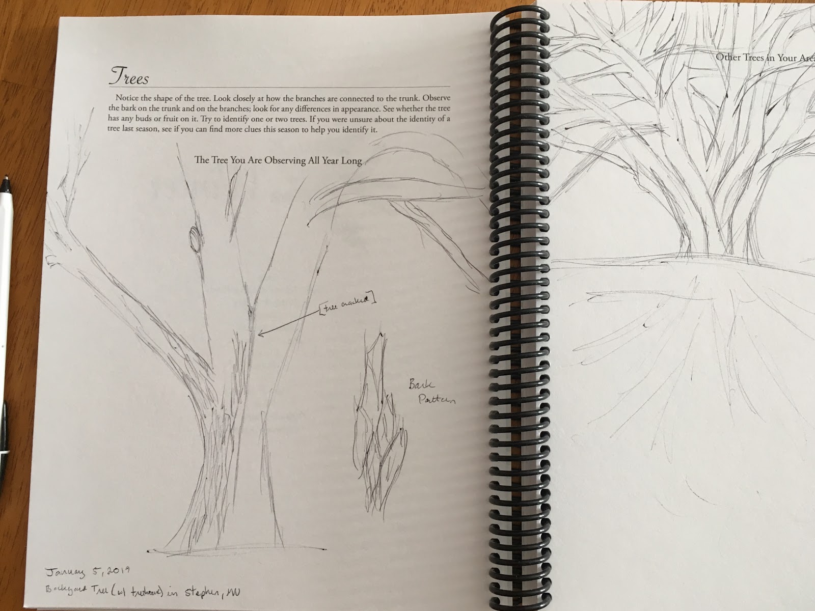 Journaling a Year in Nature | Curriculum Review