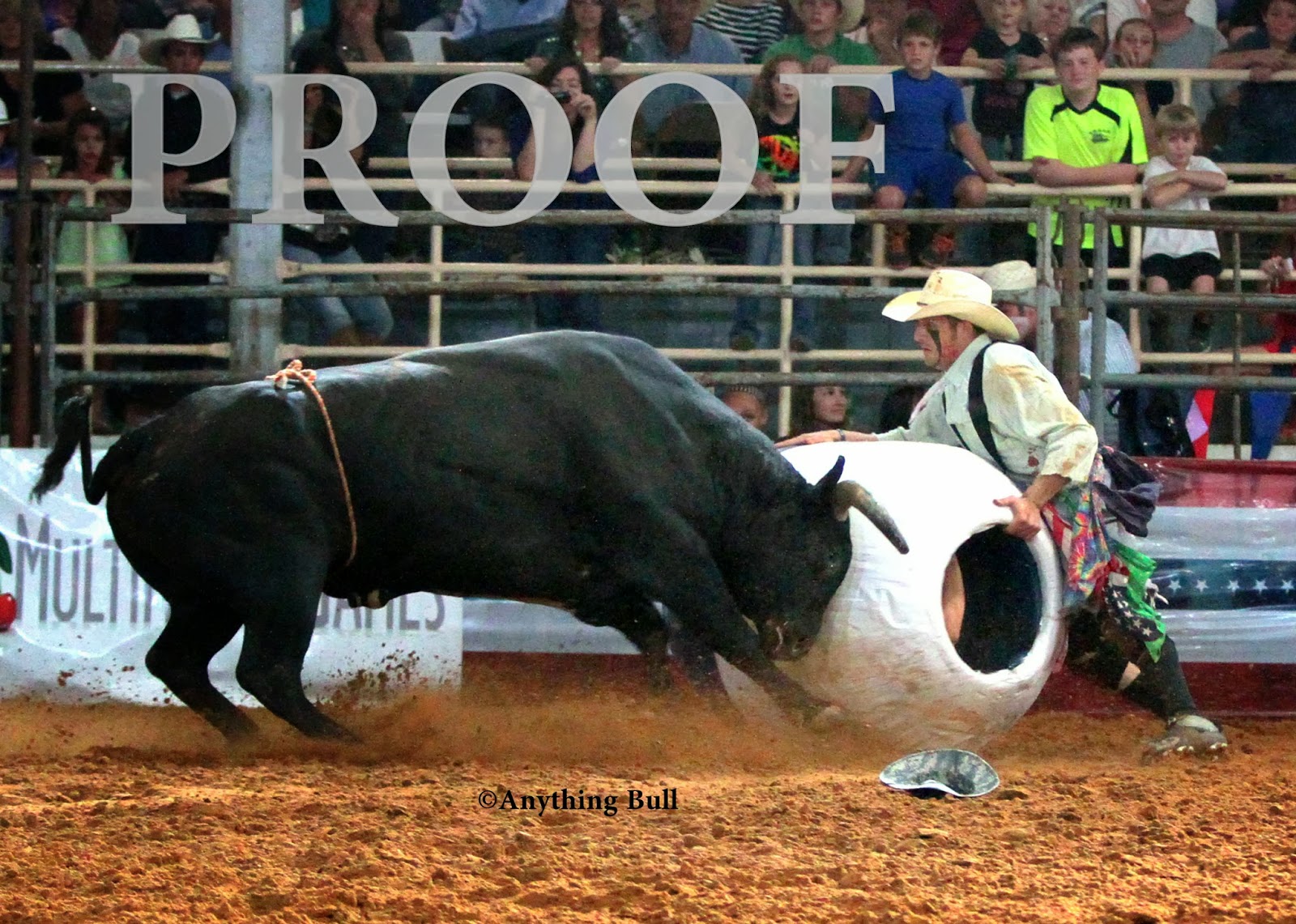 Anything Bull or Rusty: Saturday Round 4 - Clint Hopping