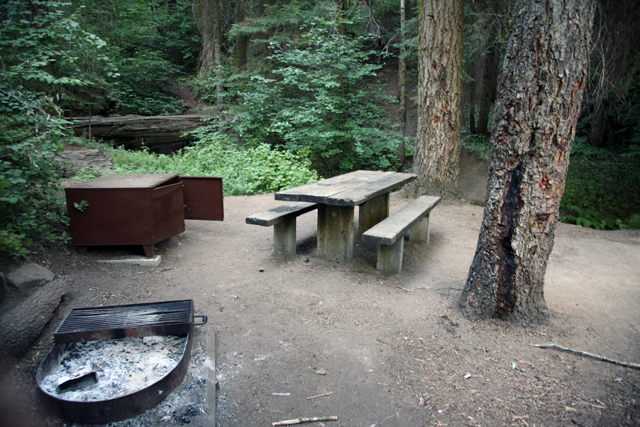 Papa's Poncho: Frazier Mills :: Mountain Home State Forest