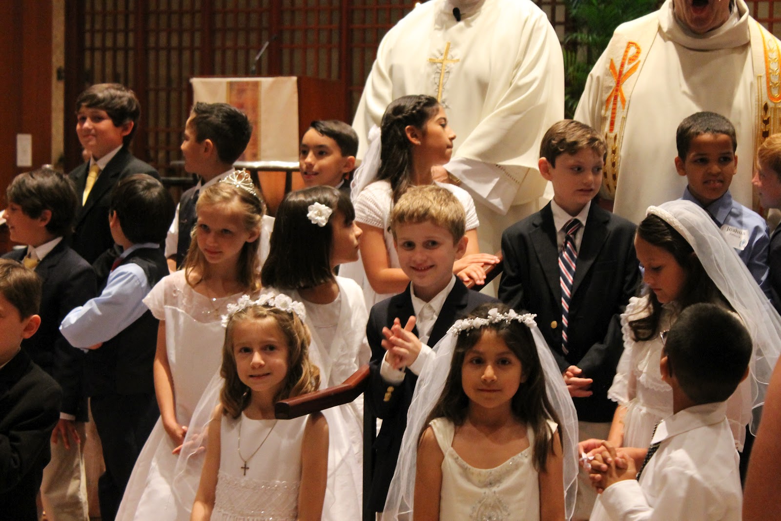 The Professional Mother: First Communion