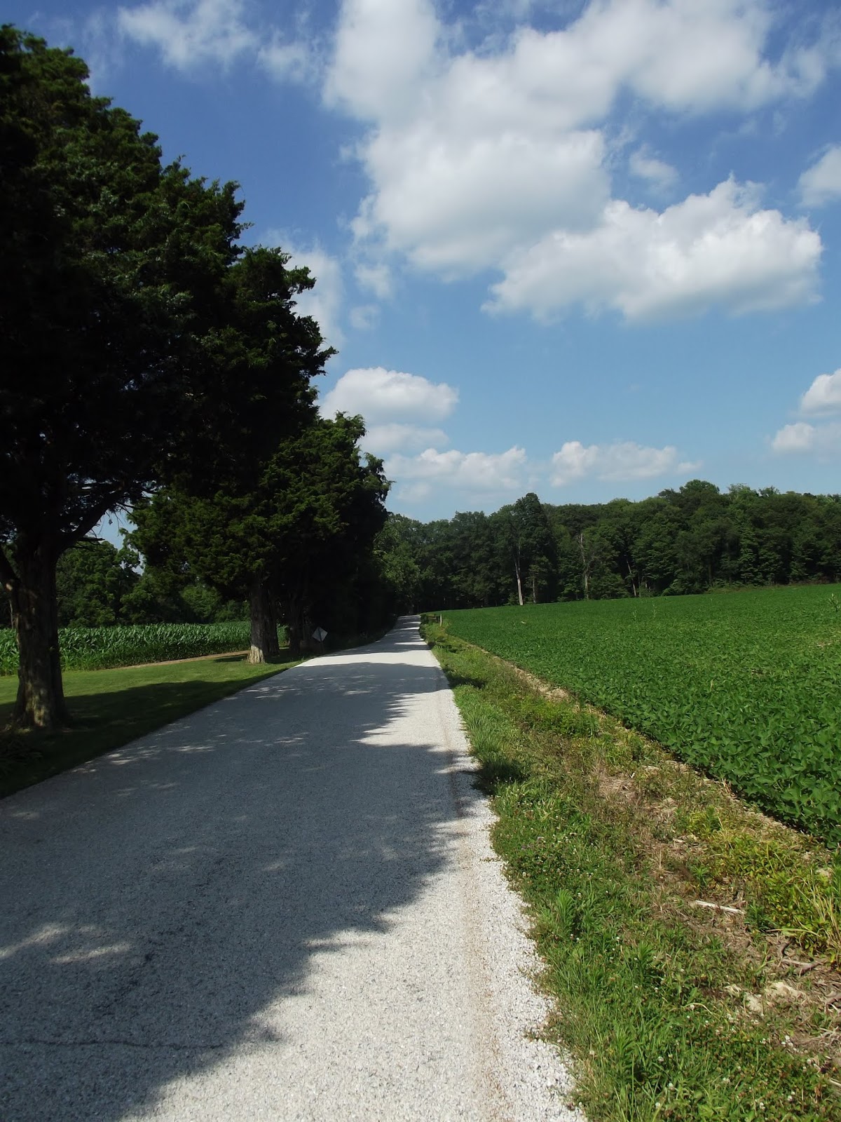 Mossy Feet Books: Photo of the Day Country Road - Ripley County, Indiana