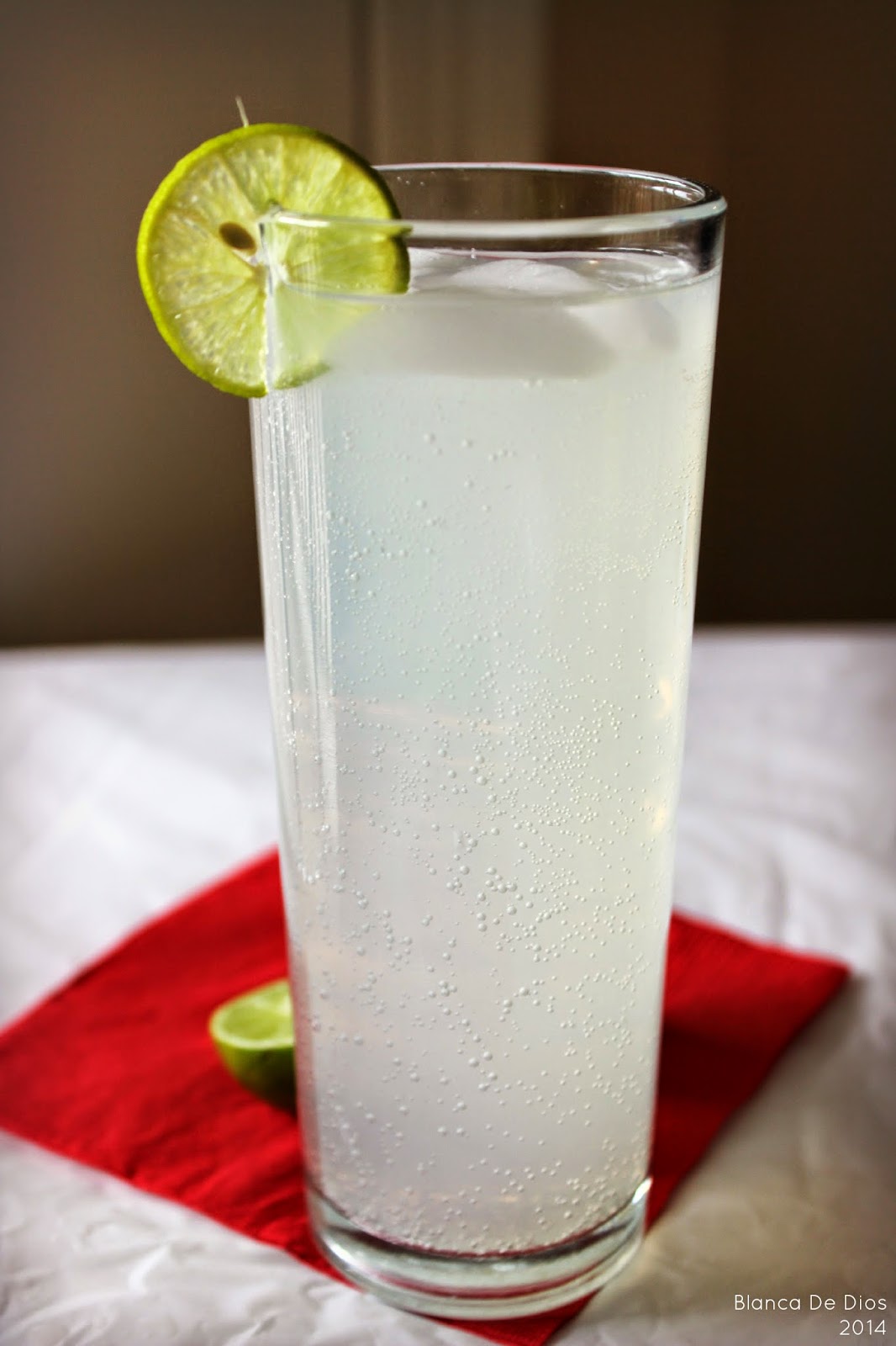 Una Mexicana en USA: ¡Vámos a decir Salud con Margarita y Paloma!