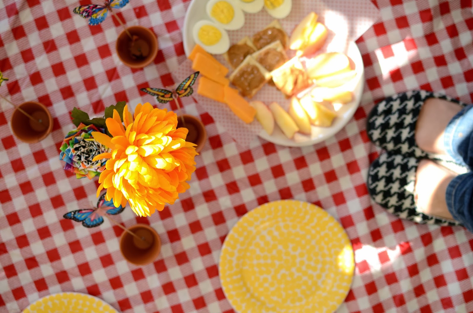 ThriceTheSpice: Indoor Picnic