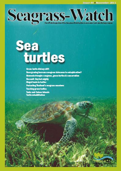 teamseagrass: All about sea turtles in the latest Seagrass Watch magazine!