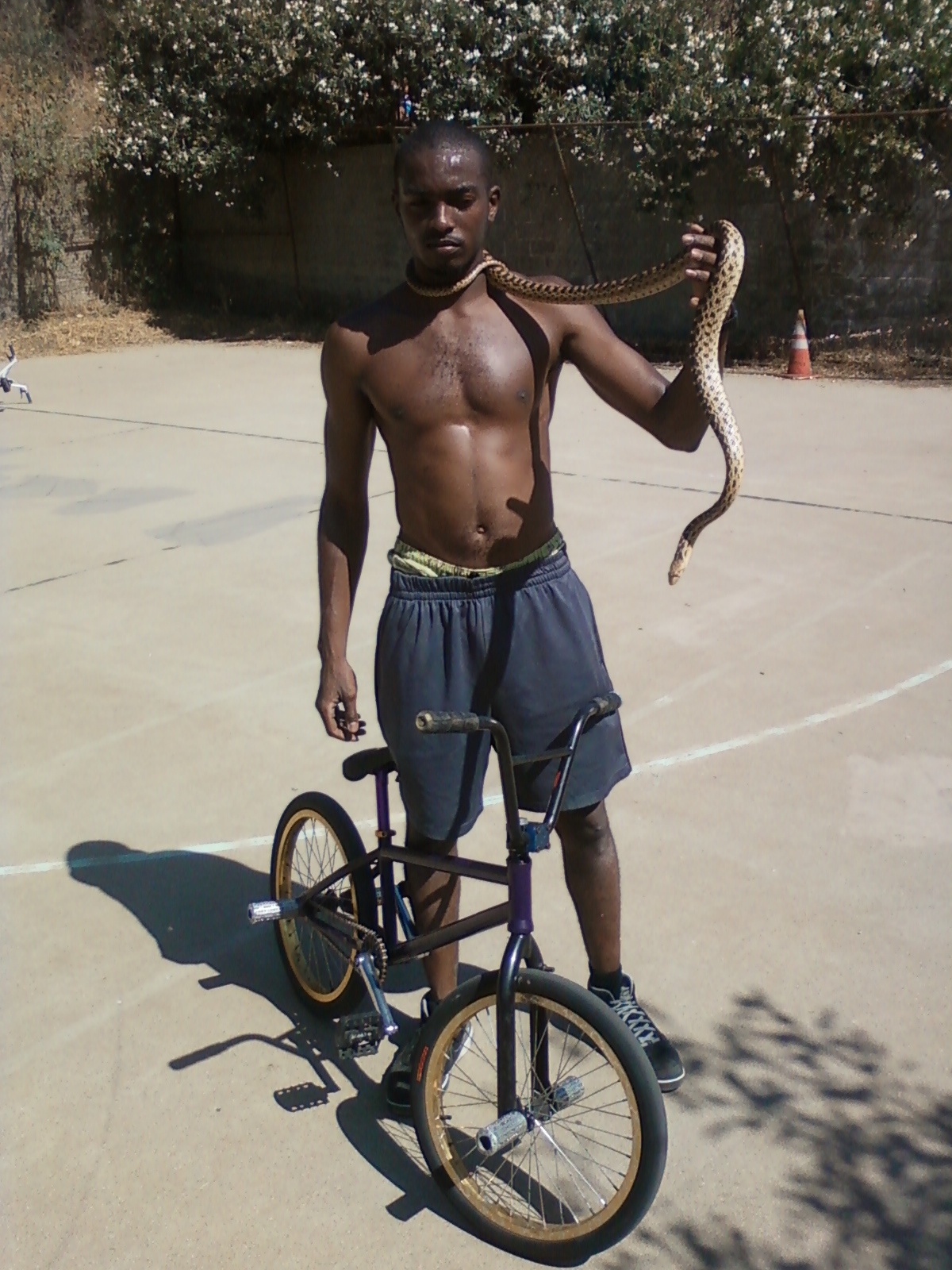 FlatMode: Snakes on a Riding Spot!