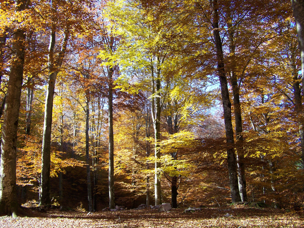 Art and Food of Italy: Molise, a treasure in the heart of Italy