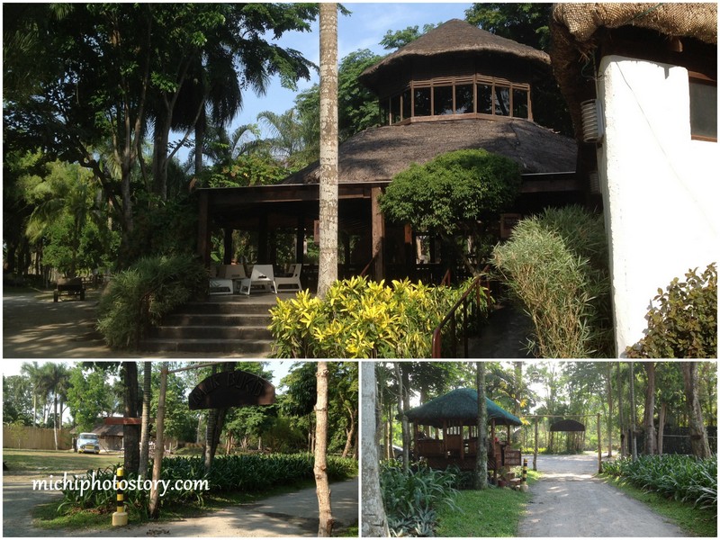 Michi Photostory: 7 Things that you Can Do in Fun Farm at Sta Elena