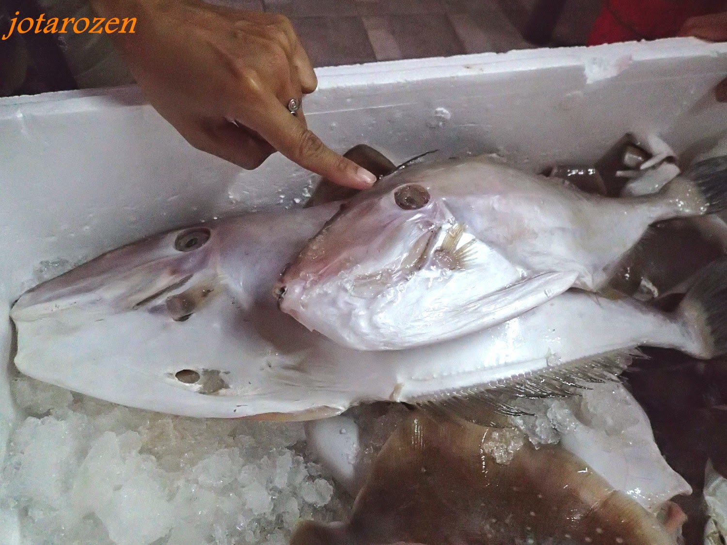 Footsteps - Jotaro's Travels: YummY! - Ikan Bakar Abc @ Temerloh