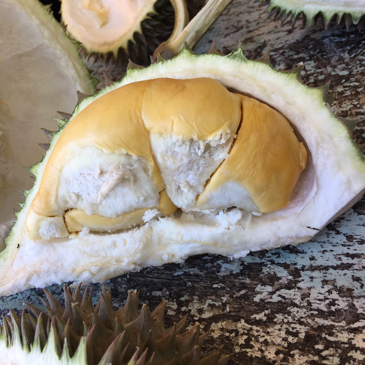 Fila Territory ~ Color The World: Review : Stall Durian Lorong Susu ...