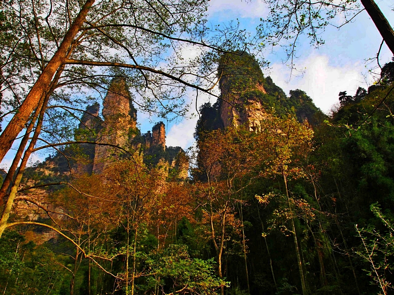 The World Through My Lens: The Land of Avatar ( Zhangjiajie ...