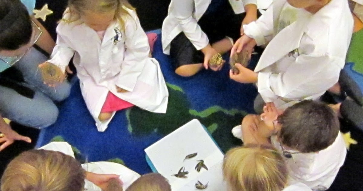 Aloha Windmill Farms: Hummingbirds and Tongues!