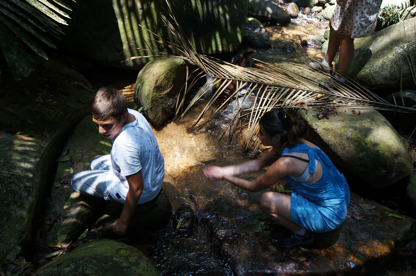 Malaisie - jour 12 : Tioman - Jungle trek vers Juara