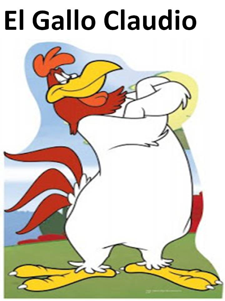 Gallo claudio - Imagui