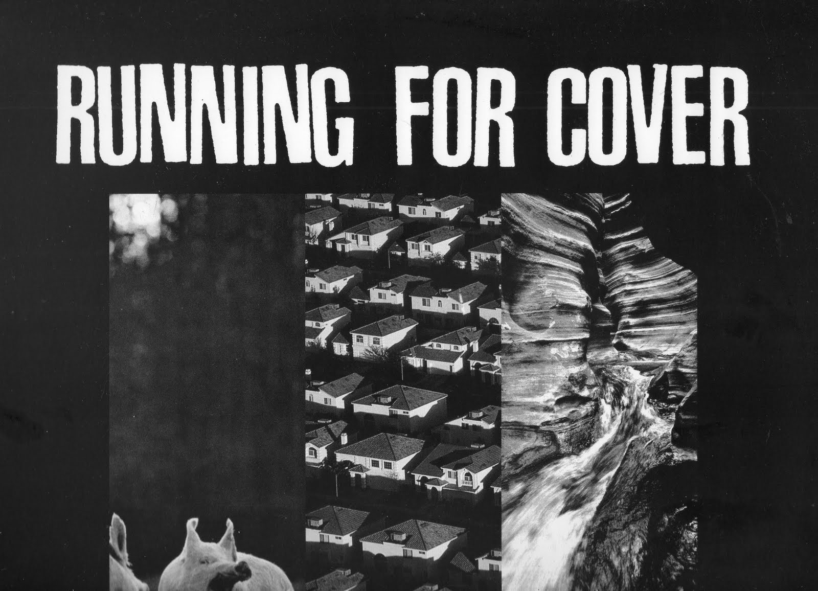 friendlyparty: running for cover