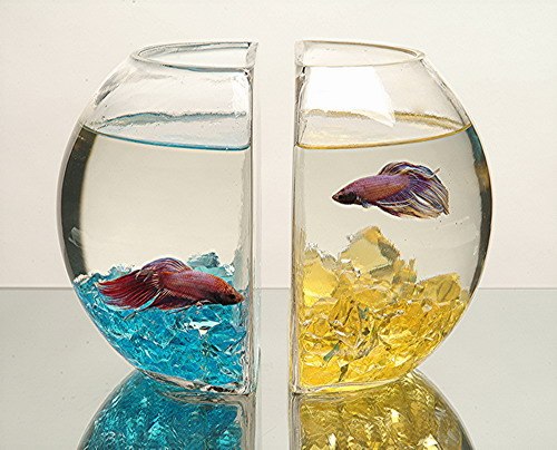 Simply Creative: Creative Fish Bowls