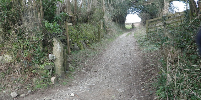 My Dartmoor Walks: Sunday 24th February The Walkhampton Plaques
