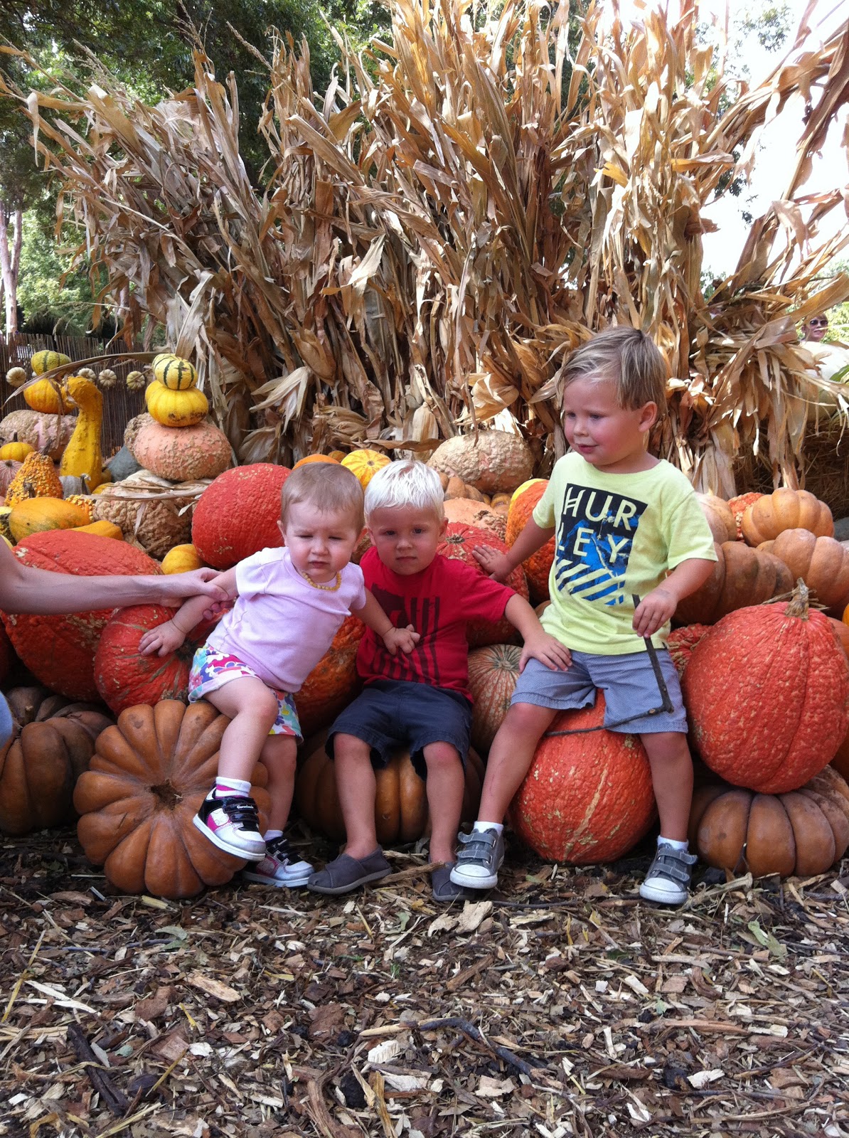 Matthew.Sheri.Dexter.Quade.: September and October In Pictures.