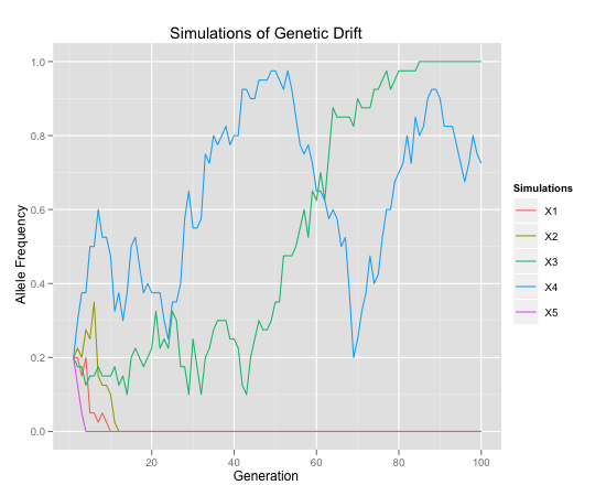 Genetic Drift Diagram