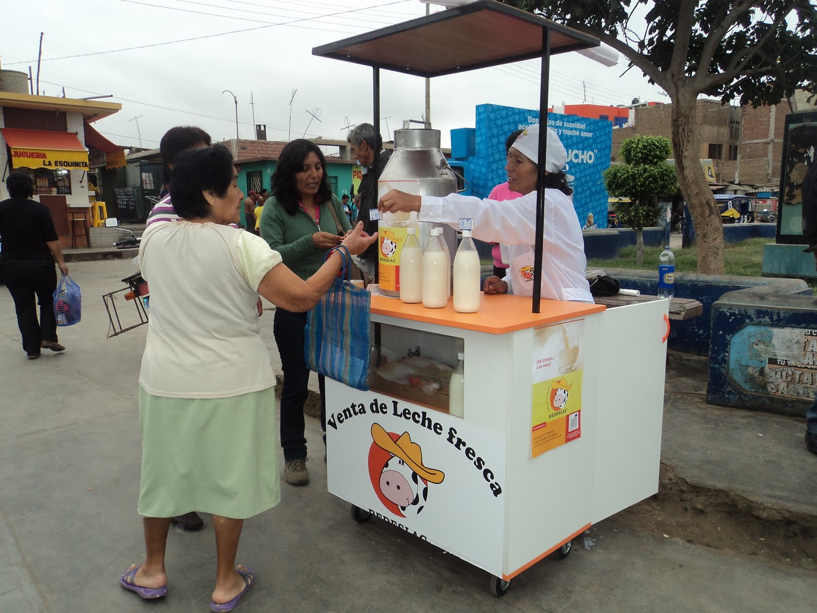REDESLAC: VENTA DE LECHE FRESCA | DEL Laredo