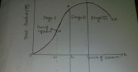 Economics Tutorials: Stages of Production