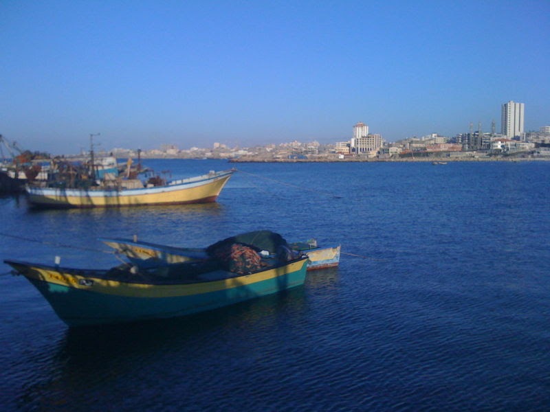 Gaza: In The Eyes Of The Beholder: Gaza's avant garde beauty revealed