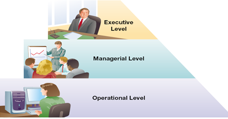 ERP Guide for Dummies: EXECUTIVE INFORMATION SYSTEM (EIS)