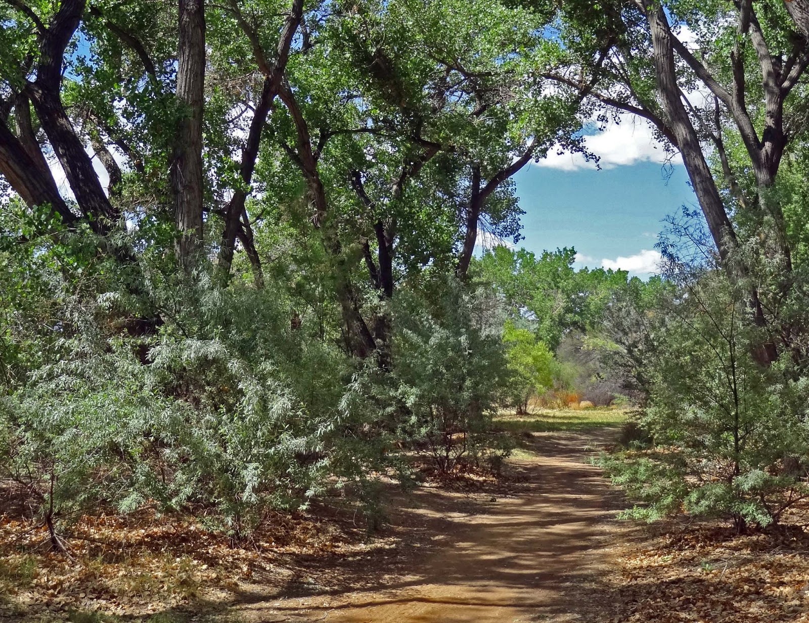Joe's Retirement Blog: A Walk in the Rio Grande Valley State Park ...