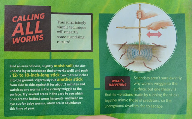 Little Homeschool Blessings: Worm Call