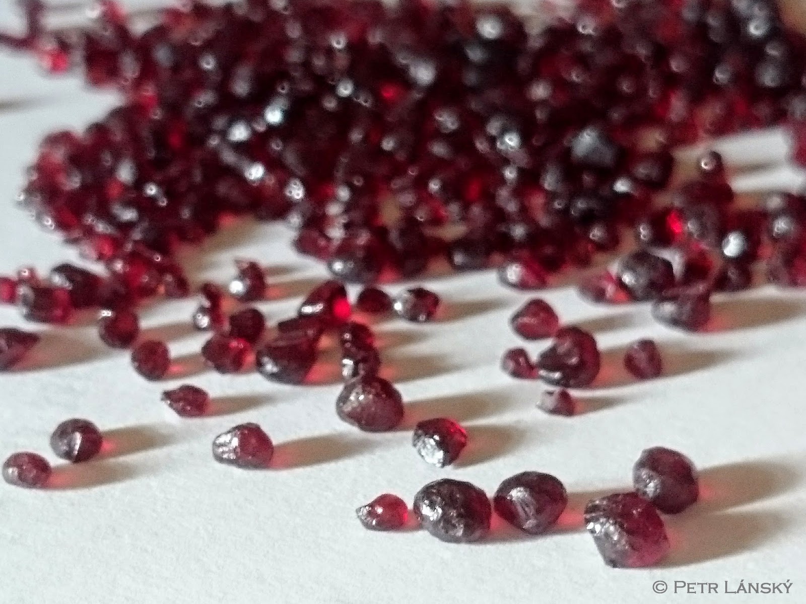 Morušová zahrada: Vydejte se na české granáty. Kam na ně?