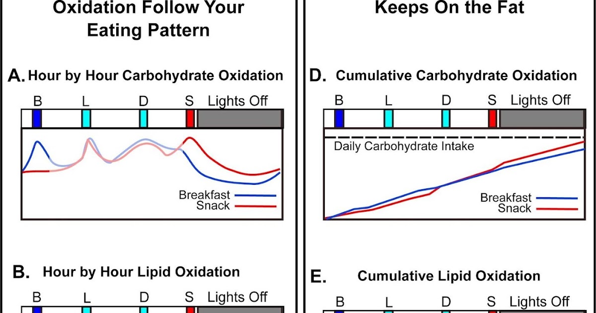 The birth of Modern Man: Fasting at night or in the morning? Listen to ...