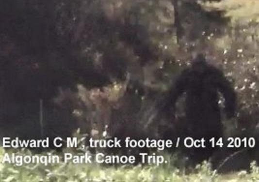 Comparison of Different Bigfoot ~ The Crypto Crew