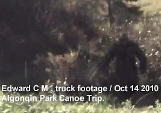 Comparison of Different Bigfoot ~ The Crypto Crew