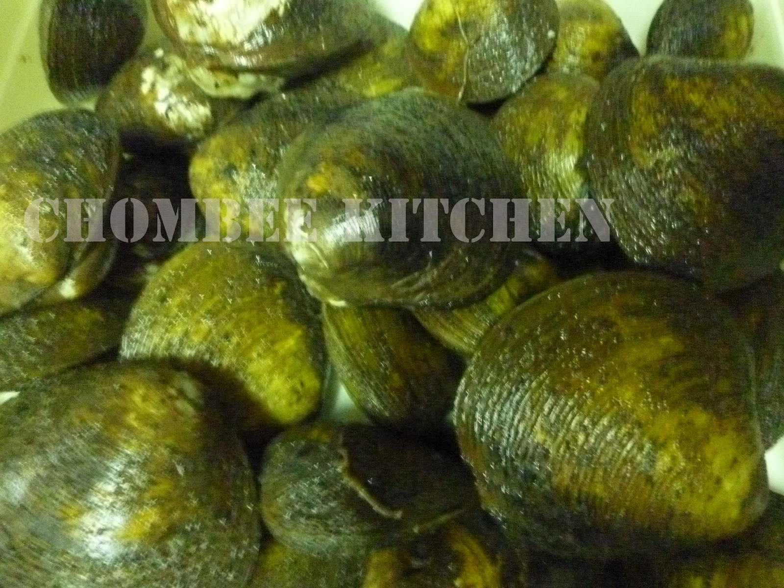 Chombee Kitchen @ Resepi, Tips Masakan dan Petua: Lokan masak lemak ...