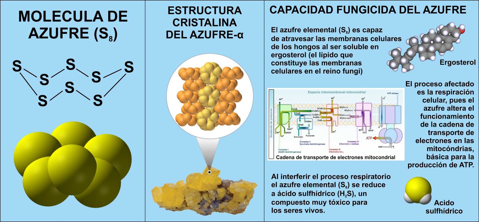 Ciencias en el CIC: AZUFRE