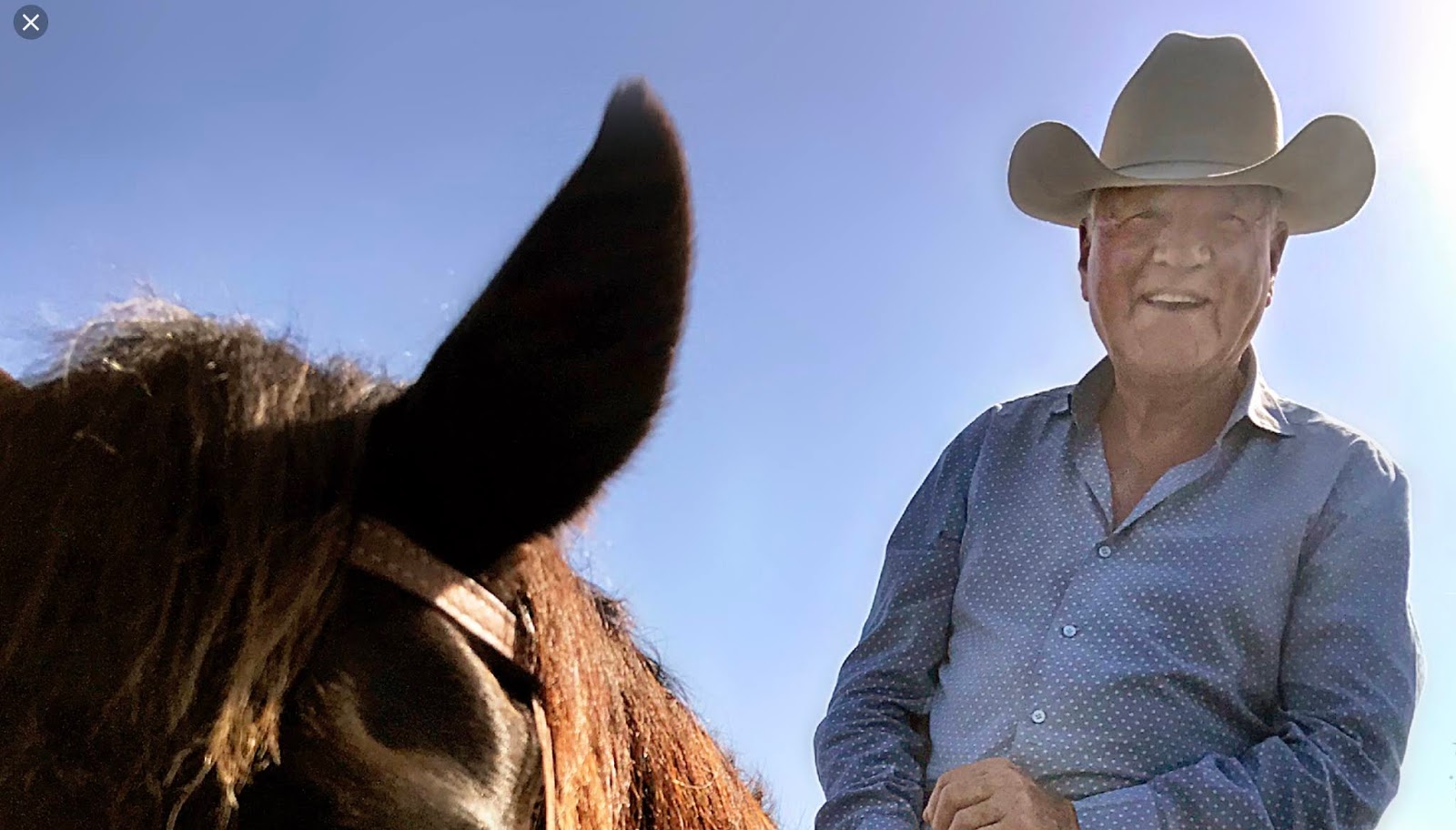 - POINTS OF VIEW _______________: FRANK AND BELINDA STRONACH IN 2018