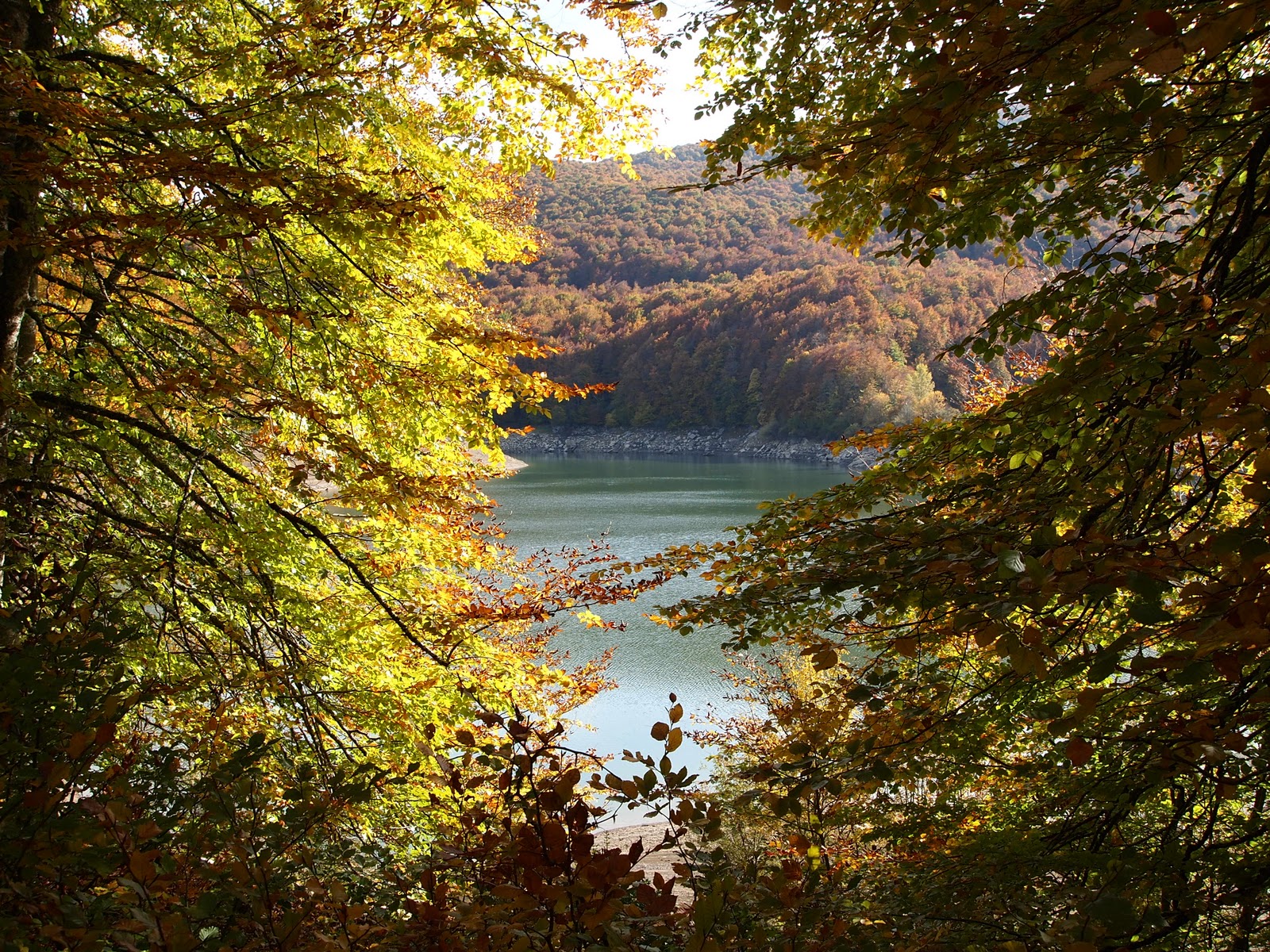 Masustak eguzkitan: Udazkena, granatea eta itsasoa / Fall, garnet and sea