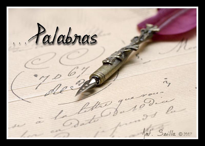 Actividades de morfología. Clases de palabras - Didactalia: material ...