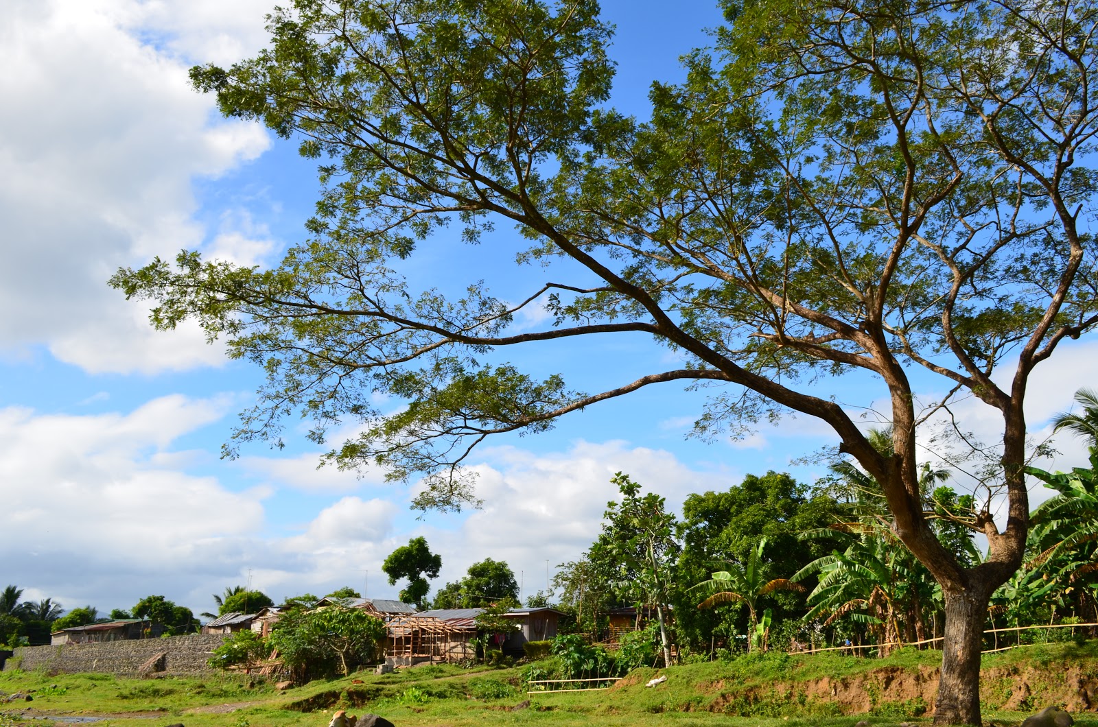 10 Things I Like about Bagumbayan