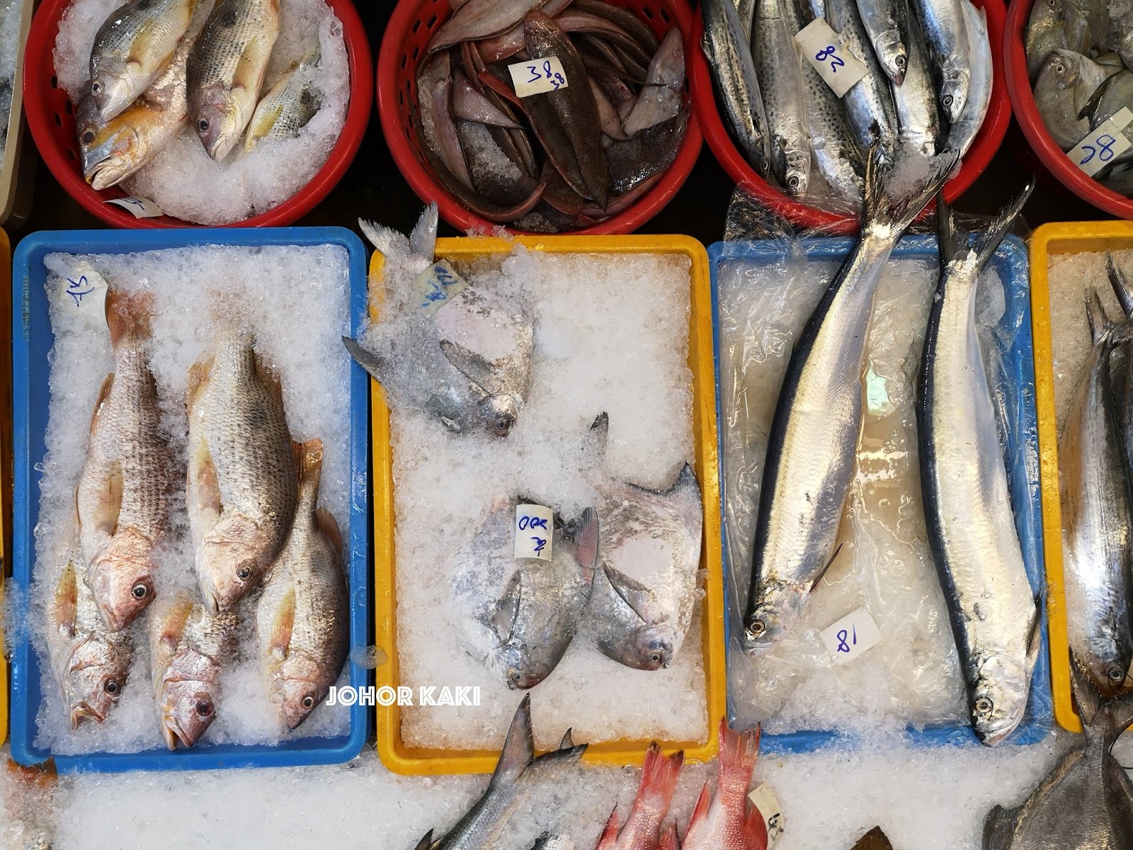 Pontian Wholesale Fish Market Update 2018 |Tony Johor Kaki Travels for ...
