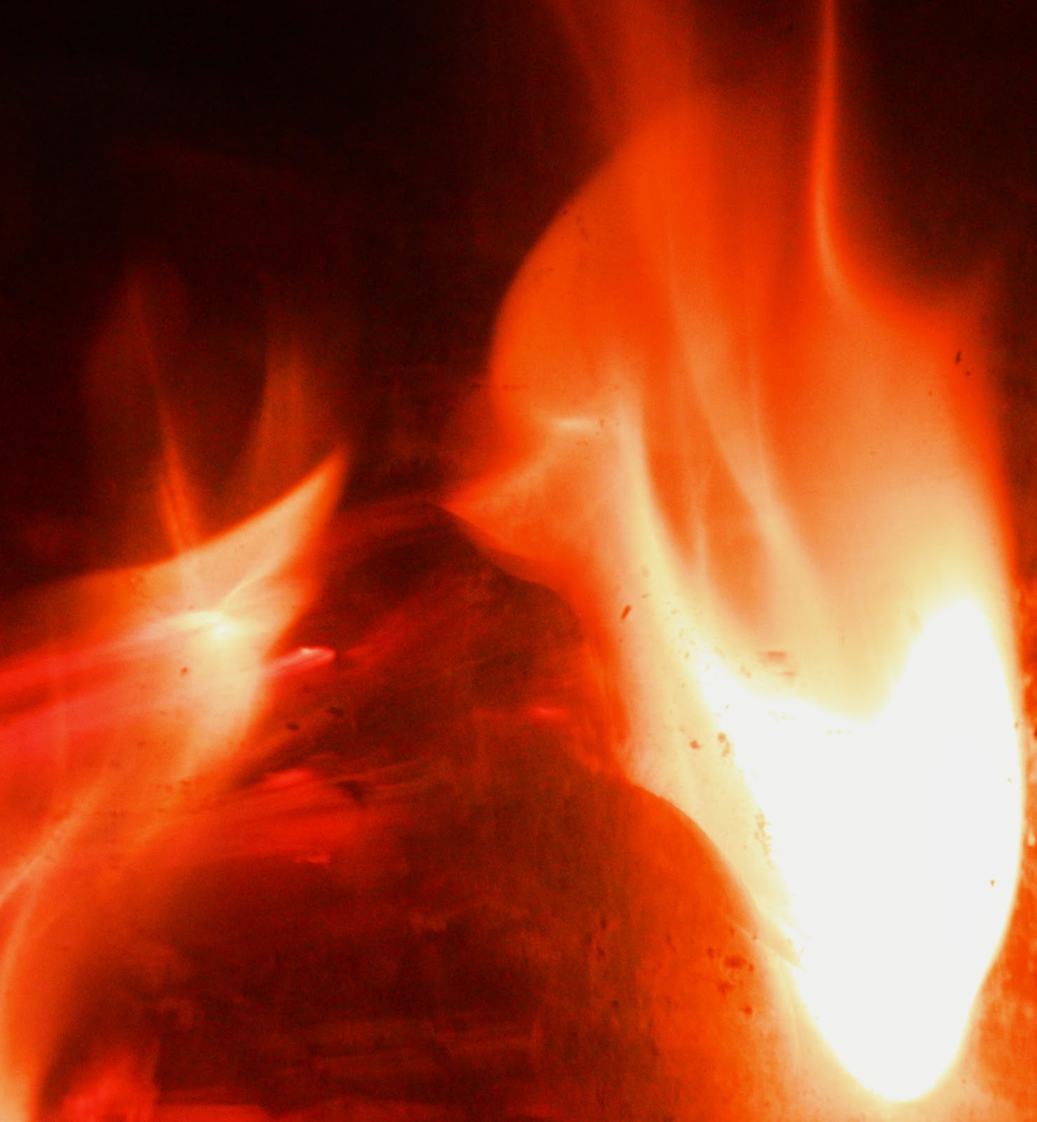 Lise's Log Cabin Life: Today is All About Teeth, Fire & Fish