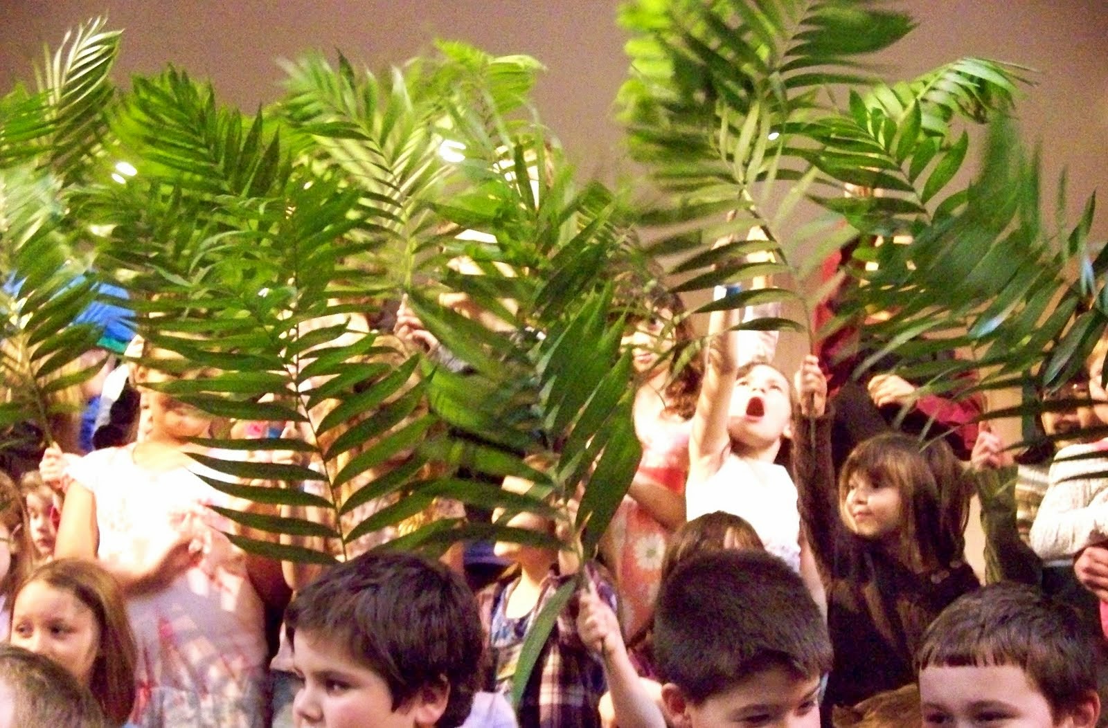 Life to LIFE: Wildly Waving Palm Branches